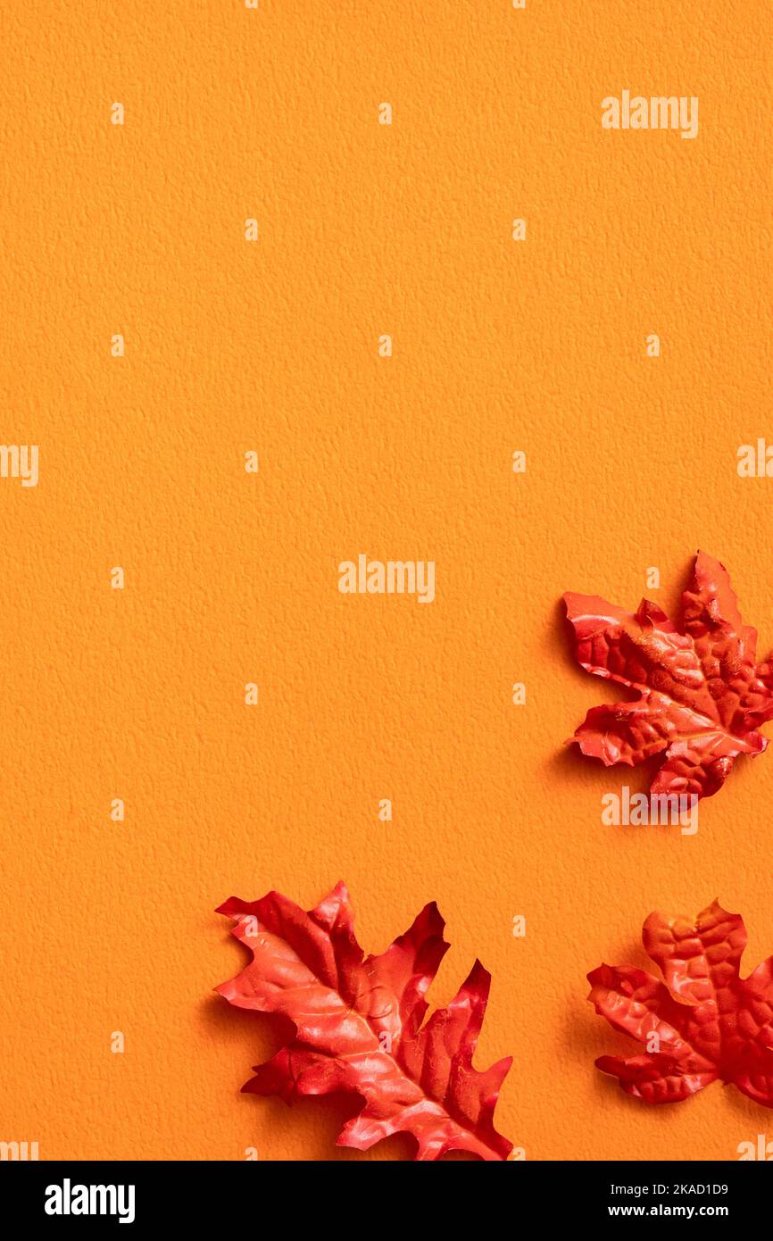 Maple leaves isolated on orange table background for design elements in ...