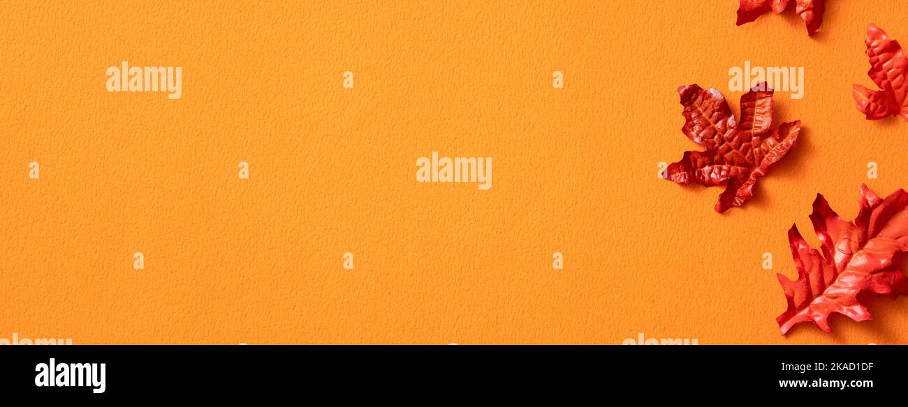 Maple leaves isolated on orange table background for design elements in ...