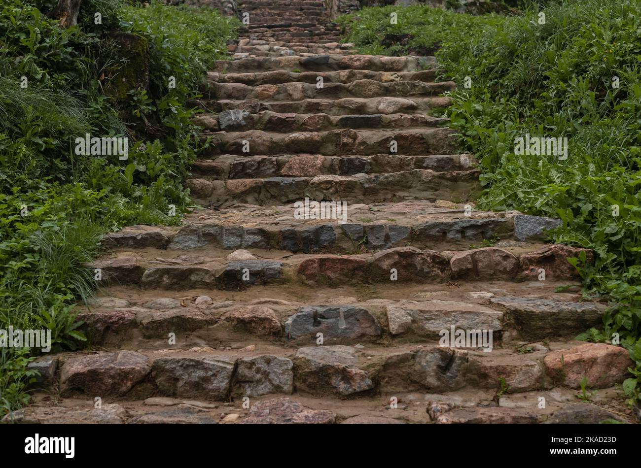 Old ancient stone stairs in nature. Steps among green grass, plants ...