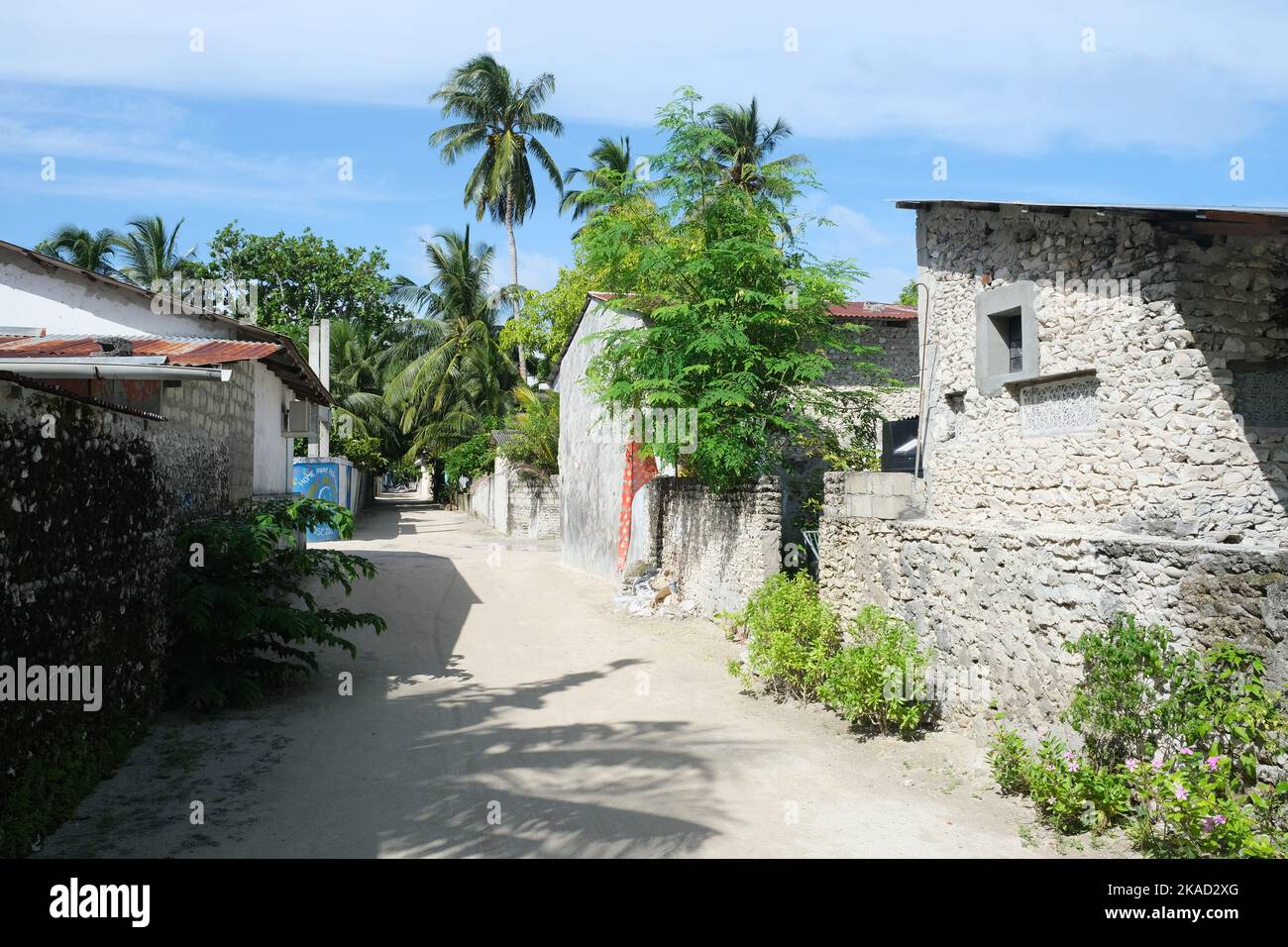 The resident area of rasdhoo with the local village houses. Rasdhoo is ...