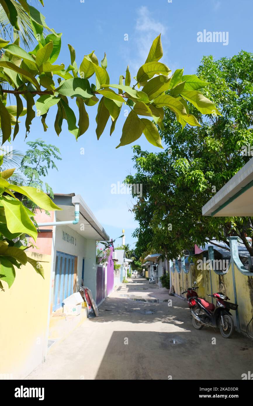 The resident area of rasdhoo with the local village houses. Rasdhoo is ...