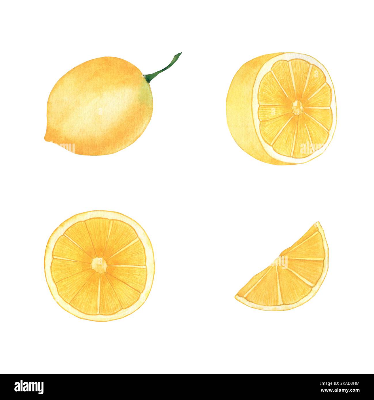 Watercolor set of lemons. Whole fruits and lemon slices. Isolated ...