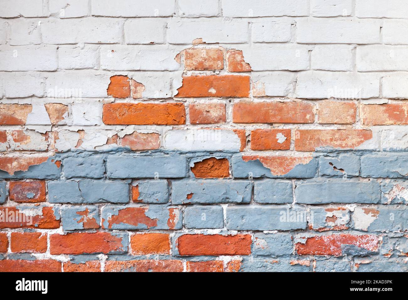 Old grungy wall made of red bricks with white peeling paint layer ...