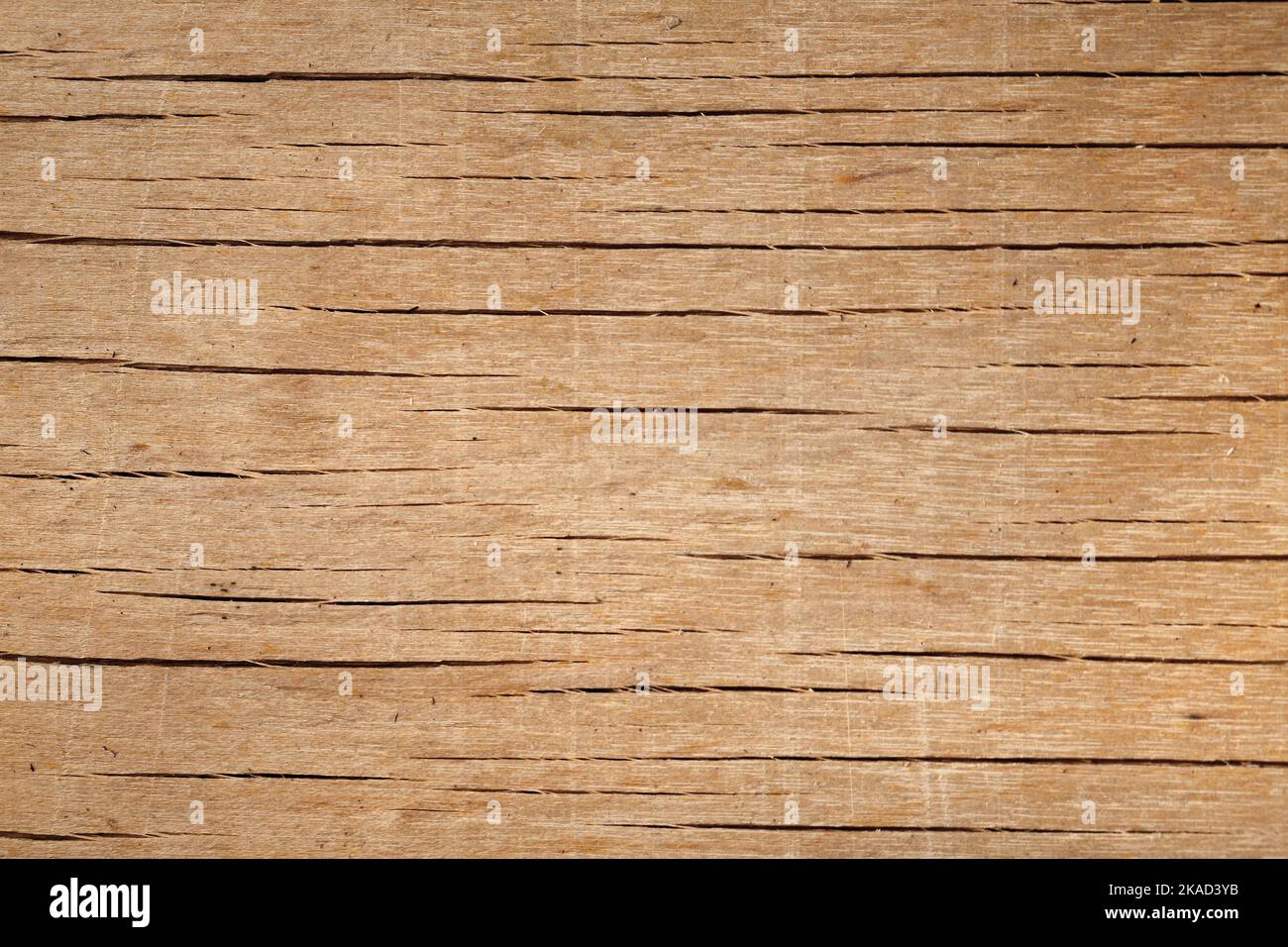 Natural old veneer sheet with cracks, close up background texture ...
