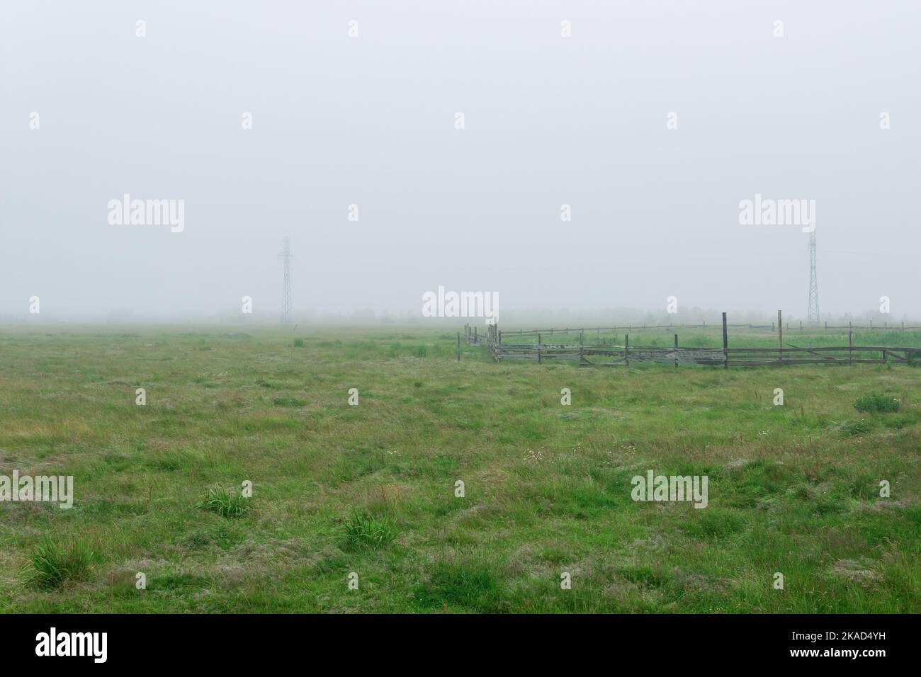rural landscape, cattle paddock on a foggy pasture Stock Photo - Alamy