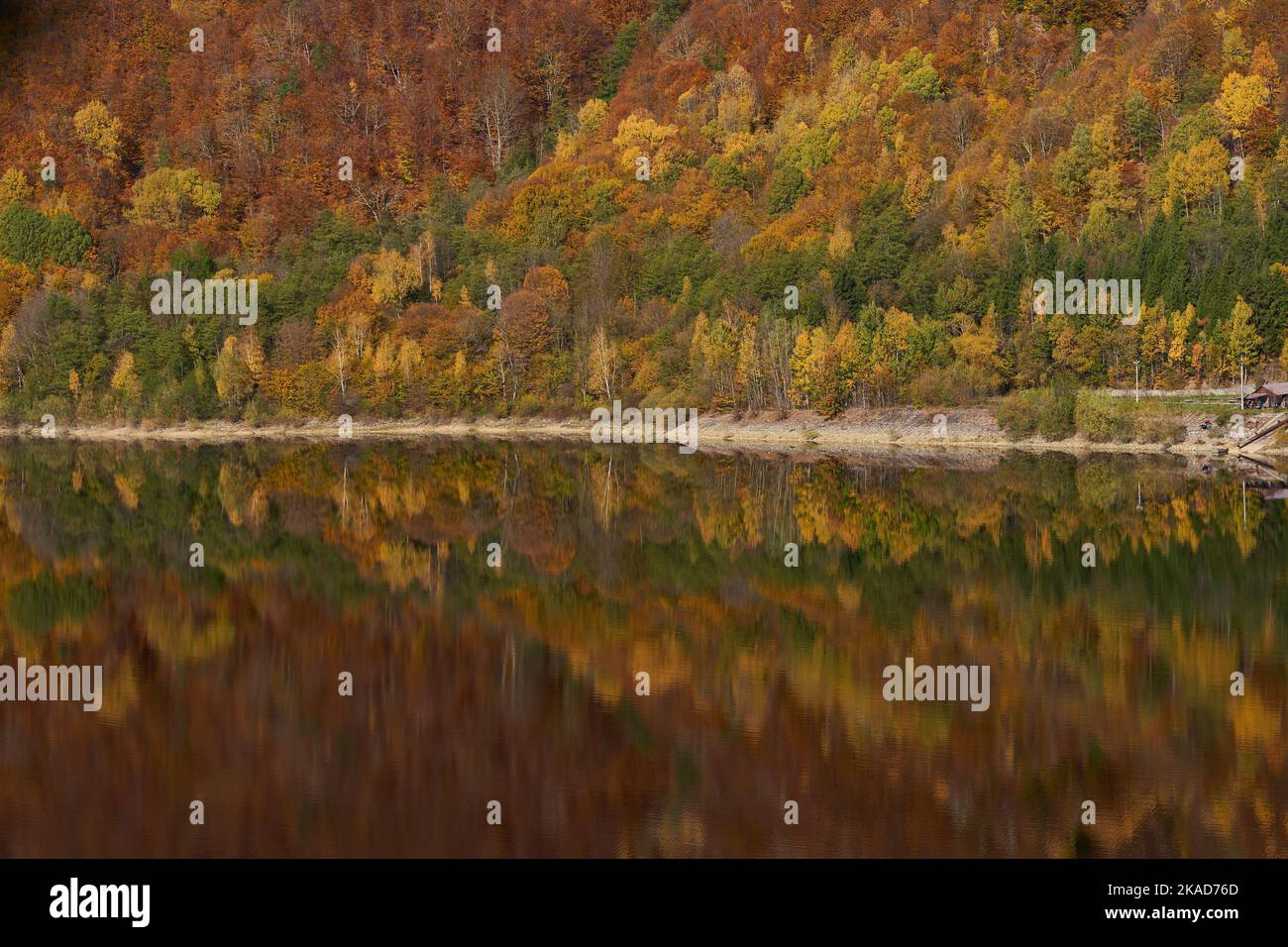 Colorful forests on mountains surrounding a dam lake with reflection in ...