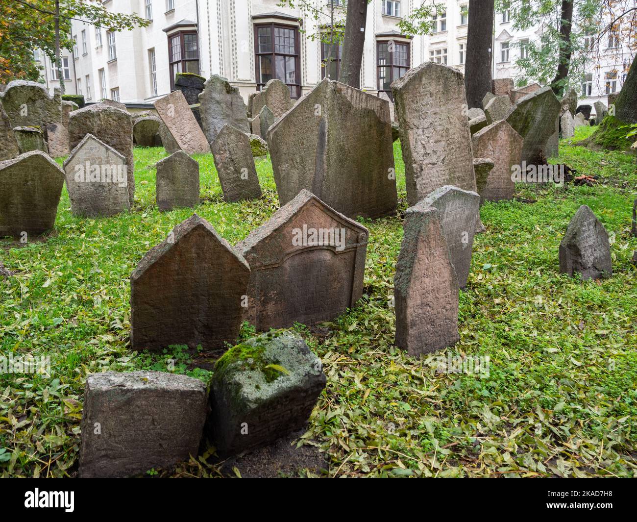 Old Josefov jewish cemetery in Prague Stock Photo - Alamy