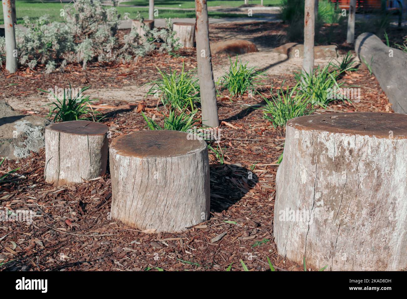 cut log tree stump stepping stones in landscaped gardens Stock Photo ...
