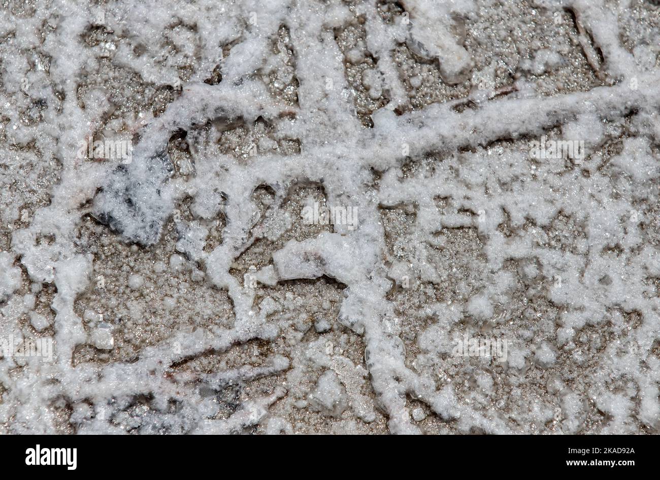 Crystallized salt on the ground after drying a lake, natural, drought ...