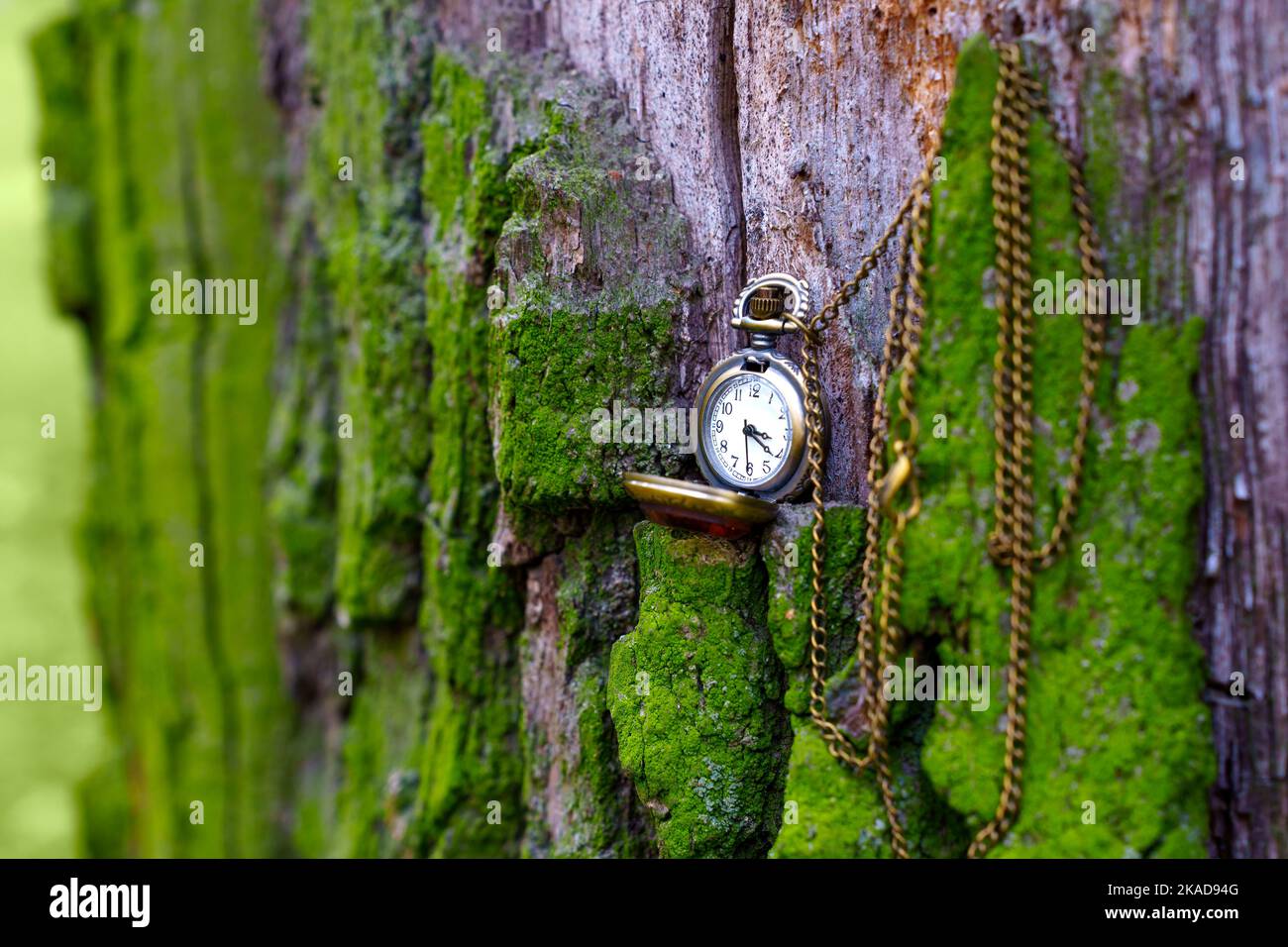Close-up on an old fashioned bronze toned pocket watch on textured ...
