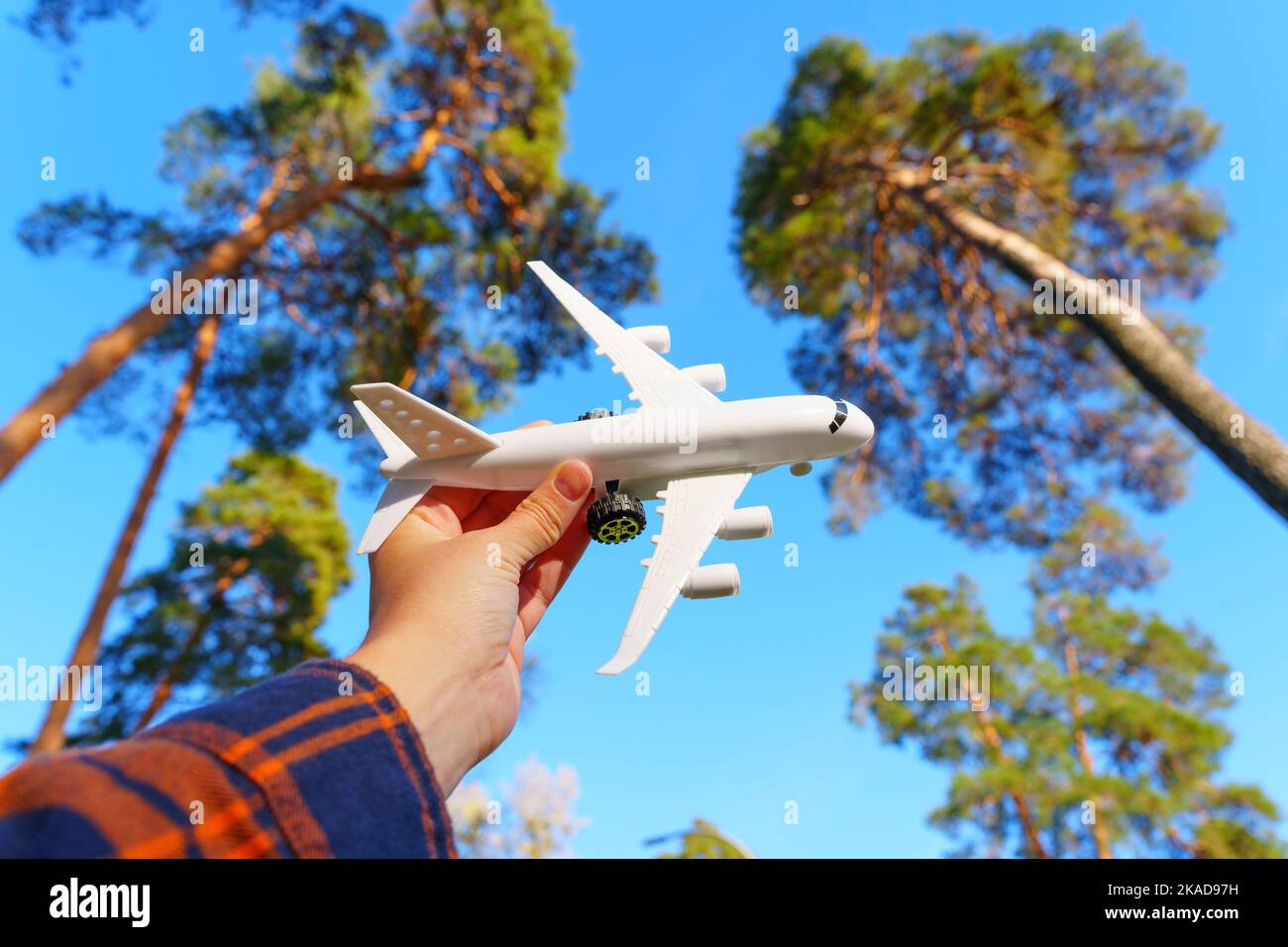 Playing with a model aircraft in the woods Stock Photo - Alamy