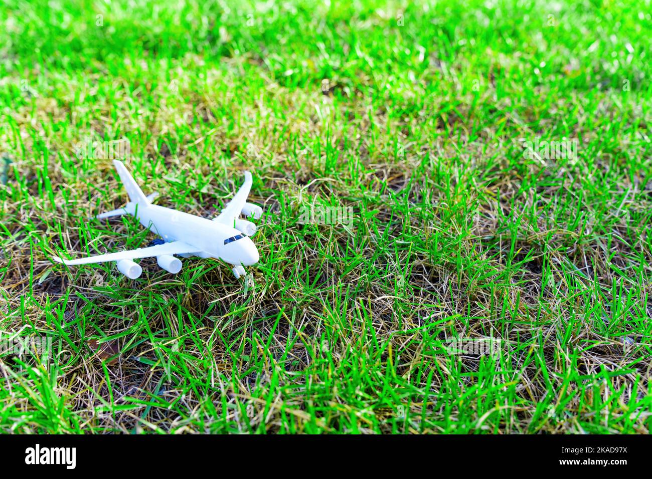 Airplane Model Field at Virginia Lyman blog