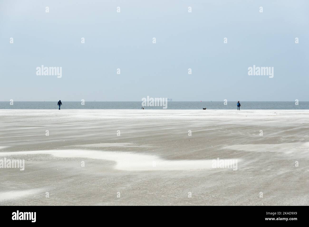 Two people and two dogs, walking in the distance on a wide beach with ...