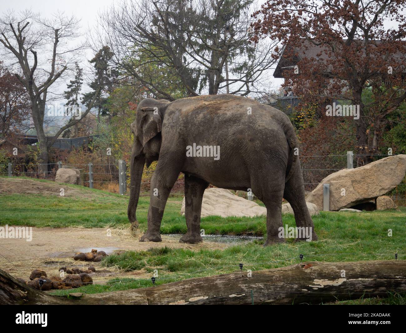 Czech zoo park hi-res stock photography and images - Alamy