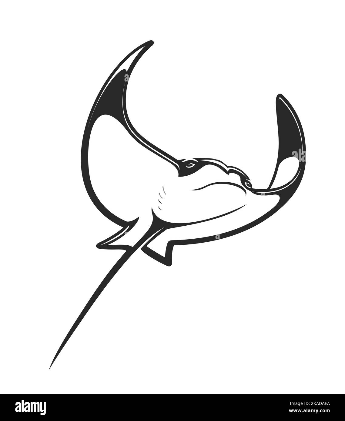 Cownose ray atlantic Stock Vector Images - Alamy