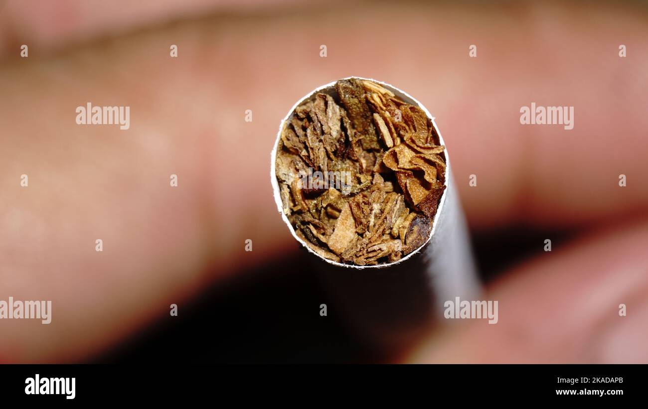 Macro photography of a cigarette between male fingers, the focus point ...