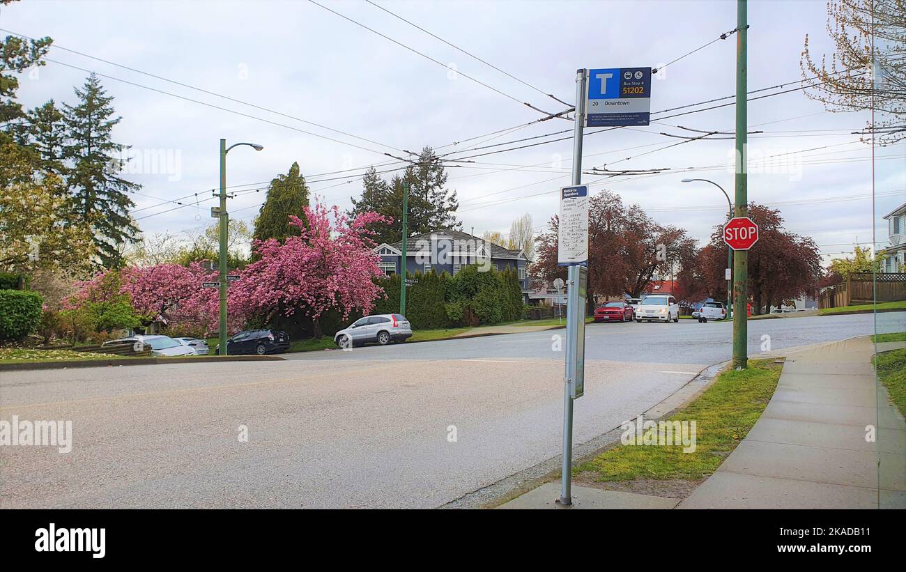 Bus stop in vancouver hi-res stock photography and images - Alamy