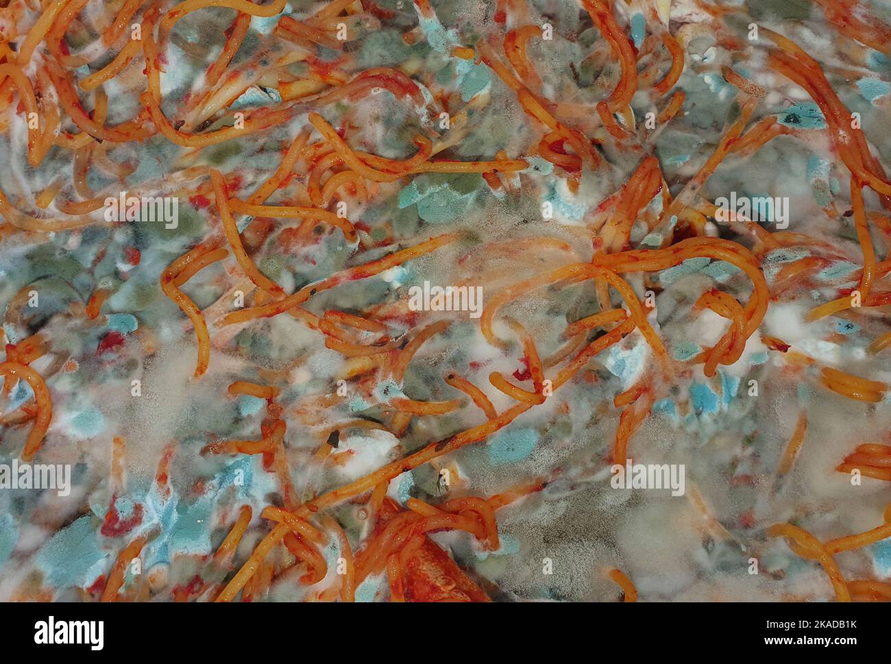 a close-up with mold on food, spore, green Stock Photo - Alamy
