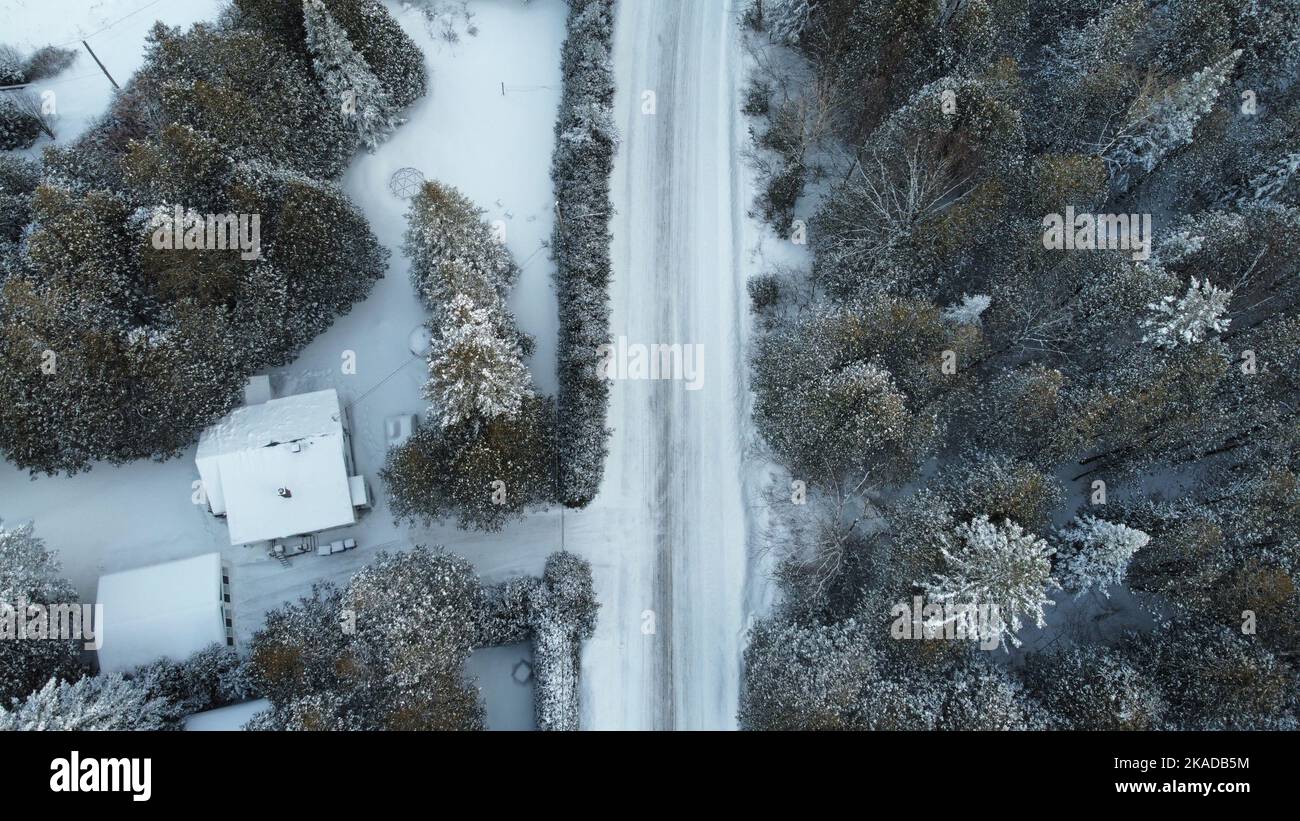 An aerial top view of a landscape with forest, road and houses covered ...