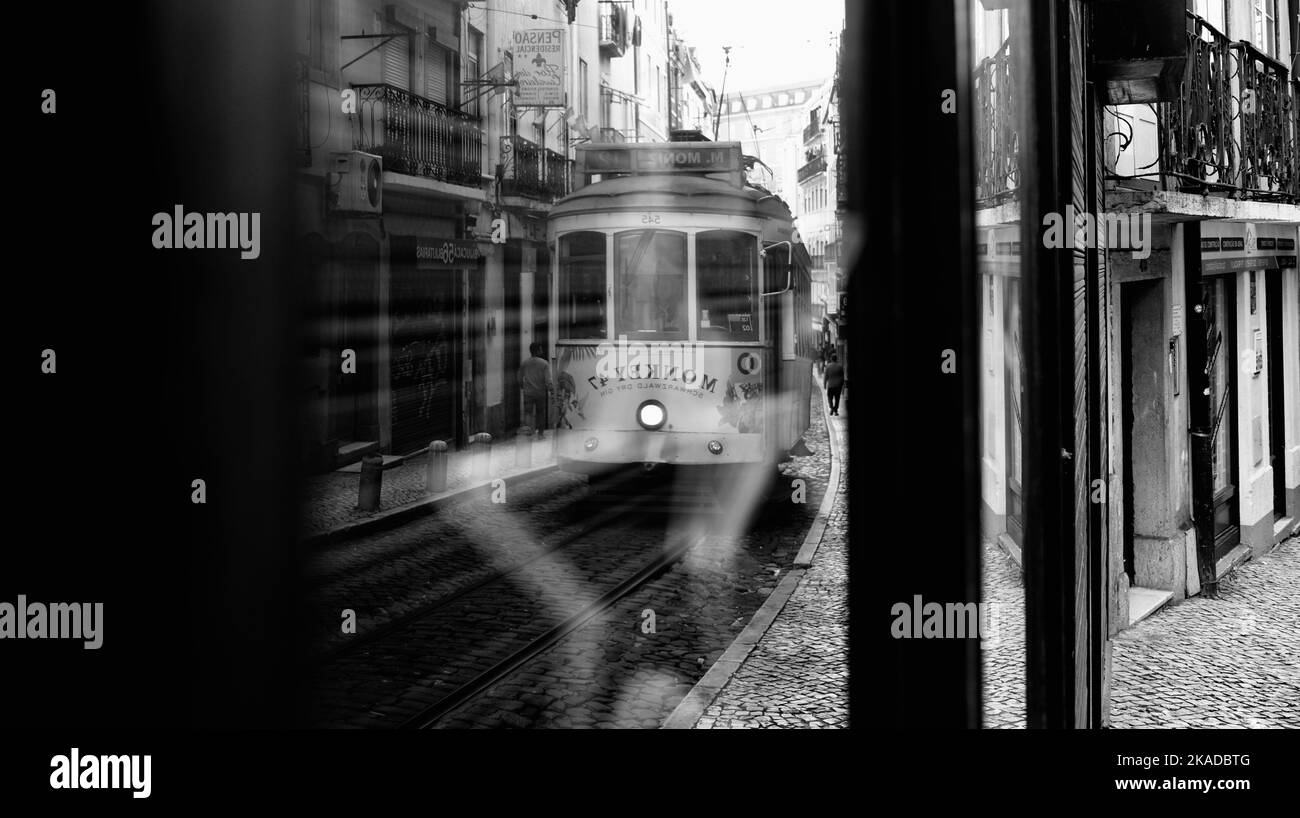 Reflection in a shop window of a Lisbon Tram, Portugal Stock Photo - Alamy