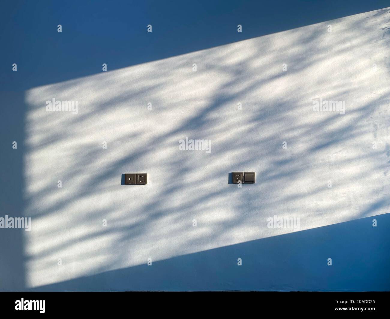 The black electrical switches with the sunlight and shadows of tree ...