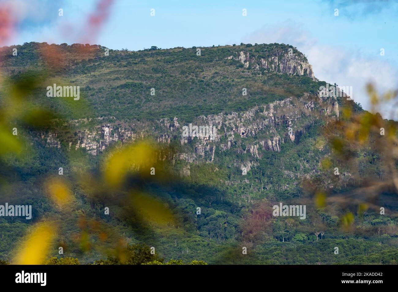 Precambrian sandstone at the top of the Tepui mountain. Tepequém ...