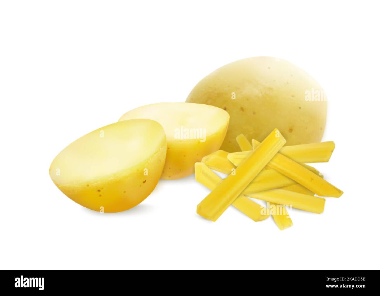 Fried potatoes realistic composition with blank background and view of ...