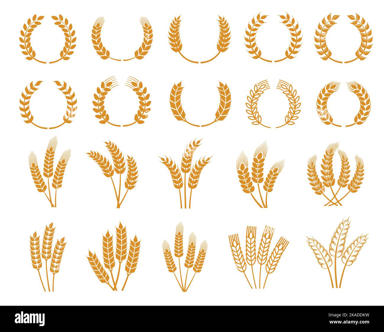 Cereal wheat ear and spikes, laurel wreath. Wheat ear agriculture ...