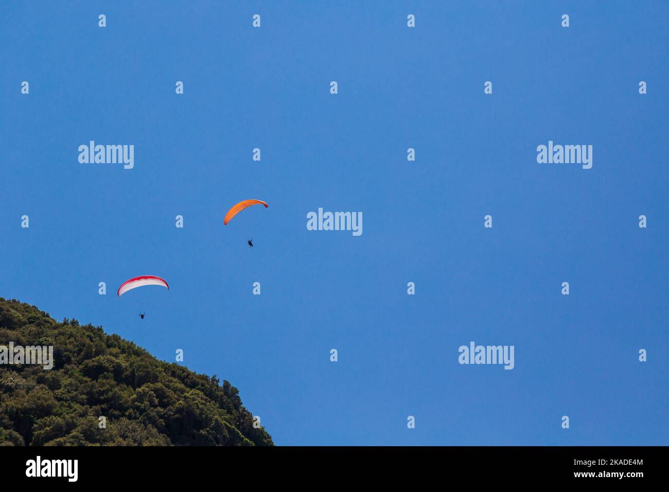 Tandem paragliding against a blue sky, sunny day. Two paragliders in ...