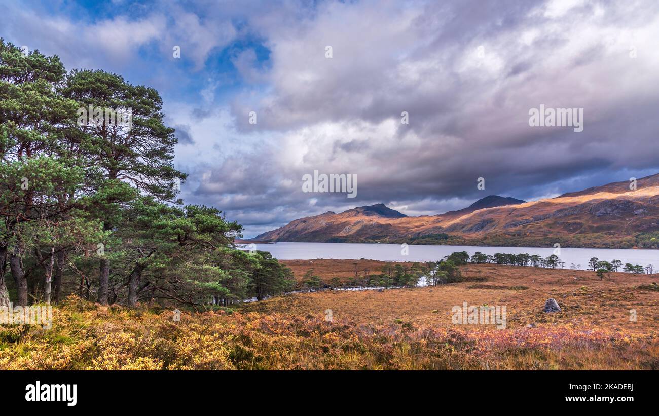 Loch Maree in the north-west highlands of Scotland in the region of ...