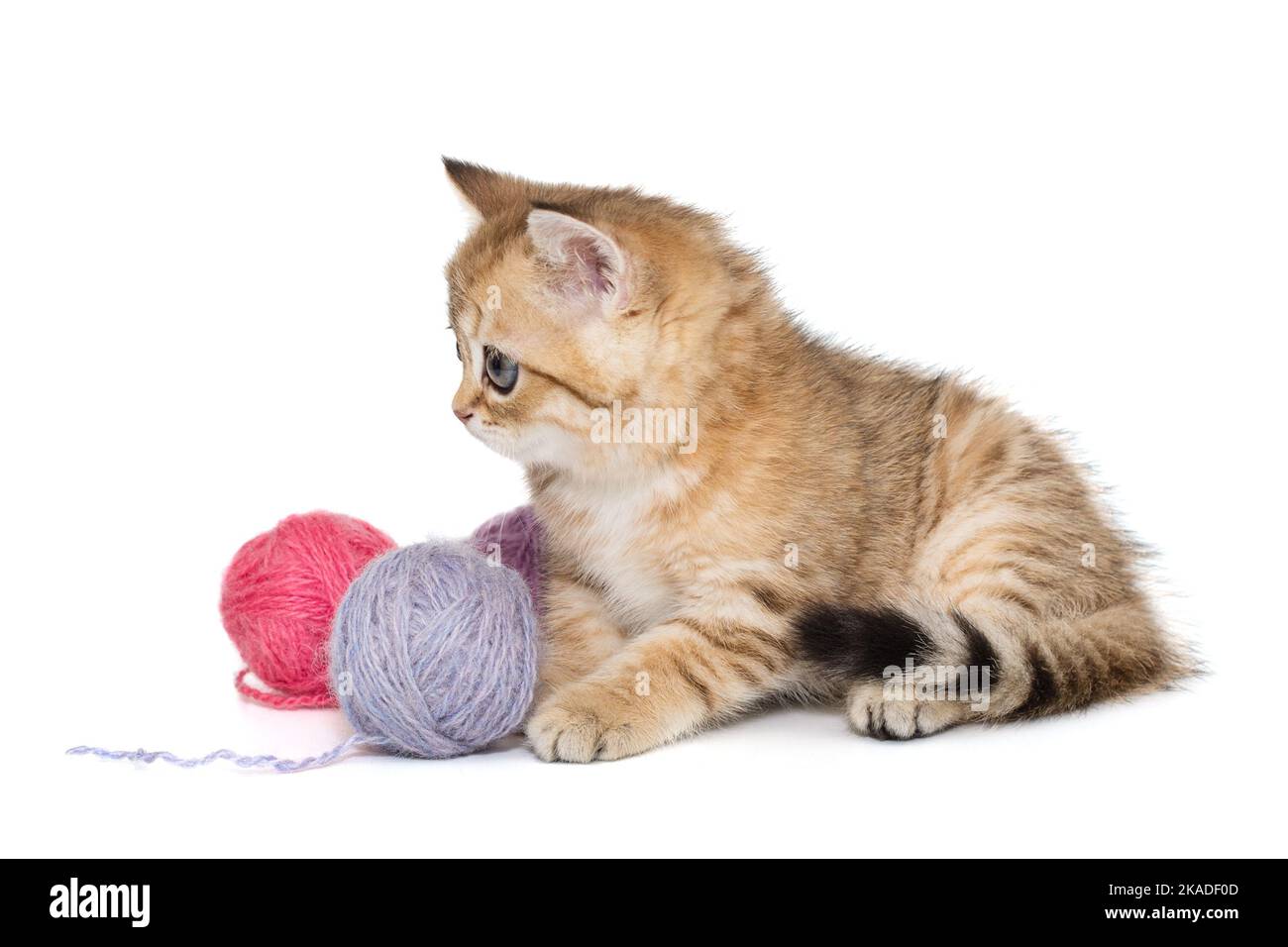 Little red ball hi-res stock photography and images - Alamy