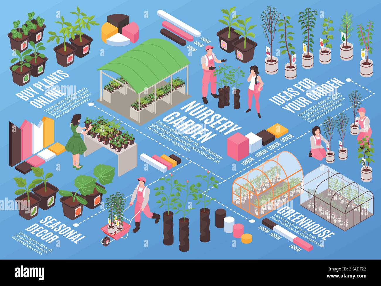 Isometric nursery garden flowchart with plants growing and selling ...