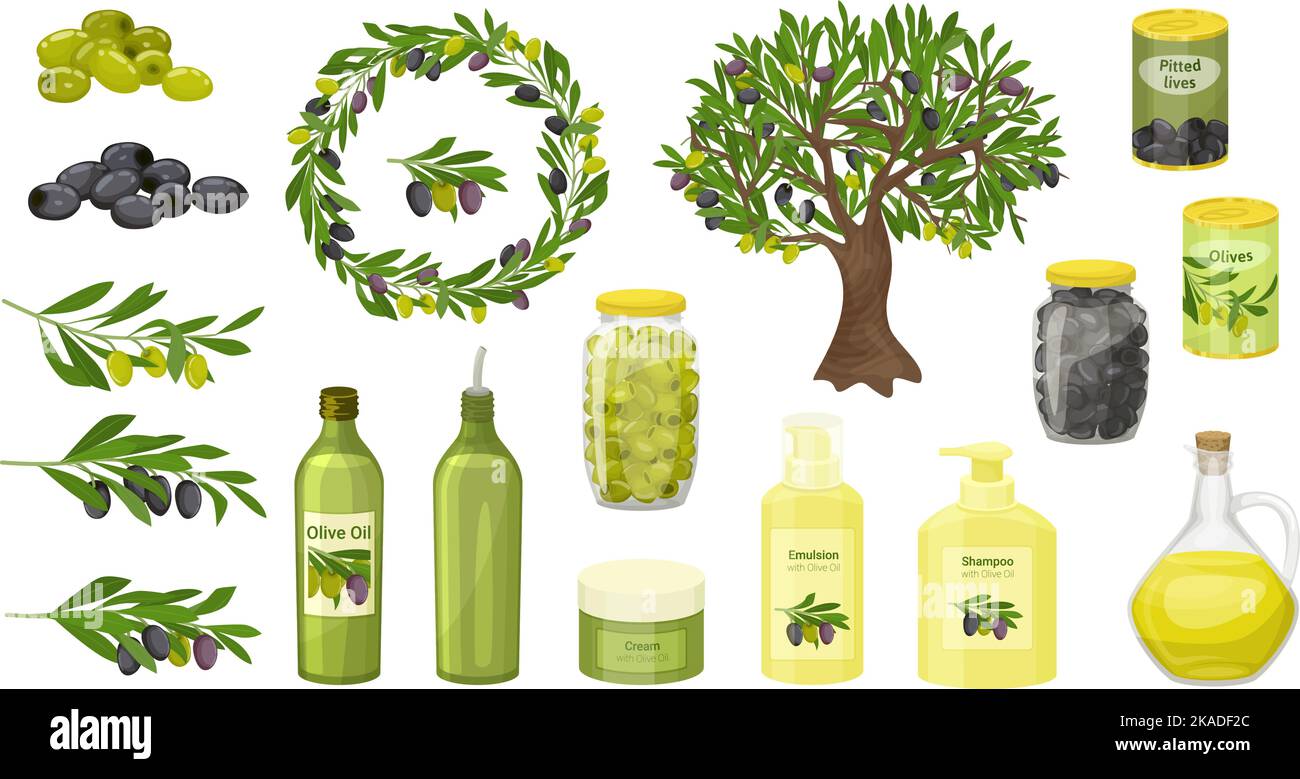 Olives flat set of isolated icons with ripe leaves trees canned olives ...