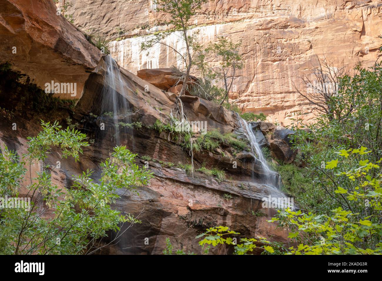 Small beautiful waterfalls flowing over the red sandstone cliffs of the ...