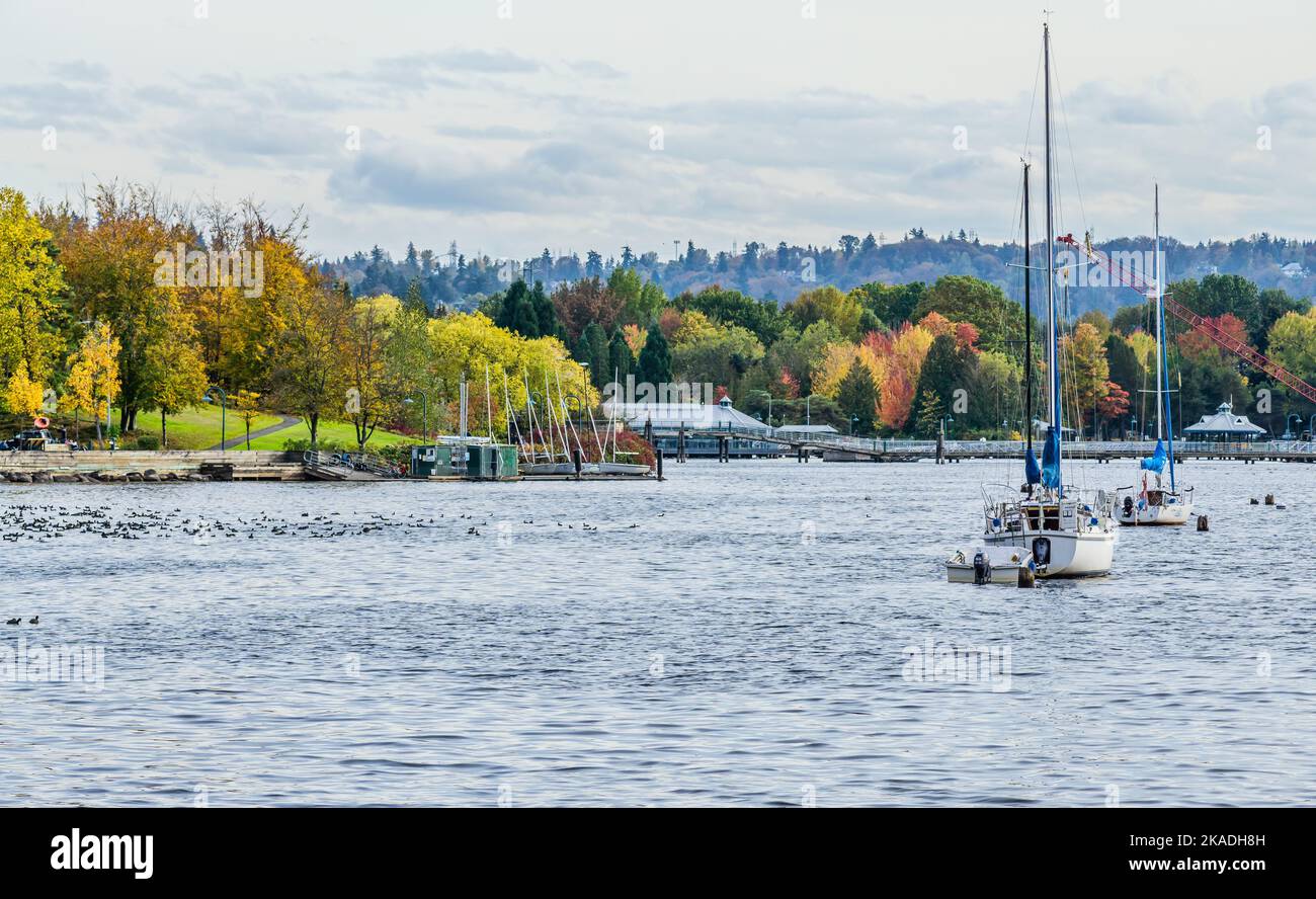 Trees display rich autumn colors along the shore at Gene Coulon Park in ...