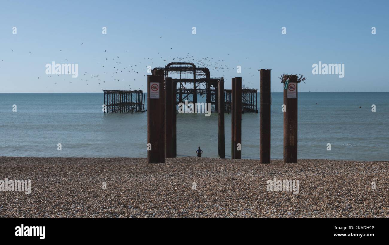 A natural landscape of the Brighton pier Stock Photo - Alamy