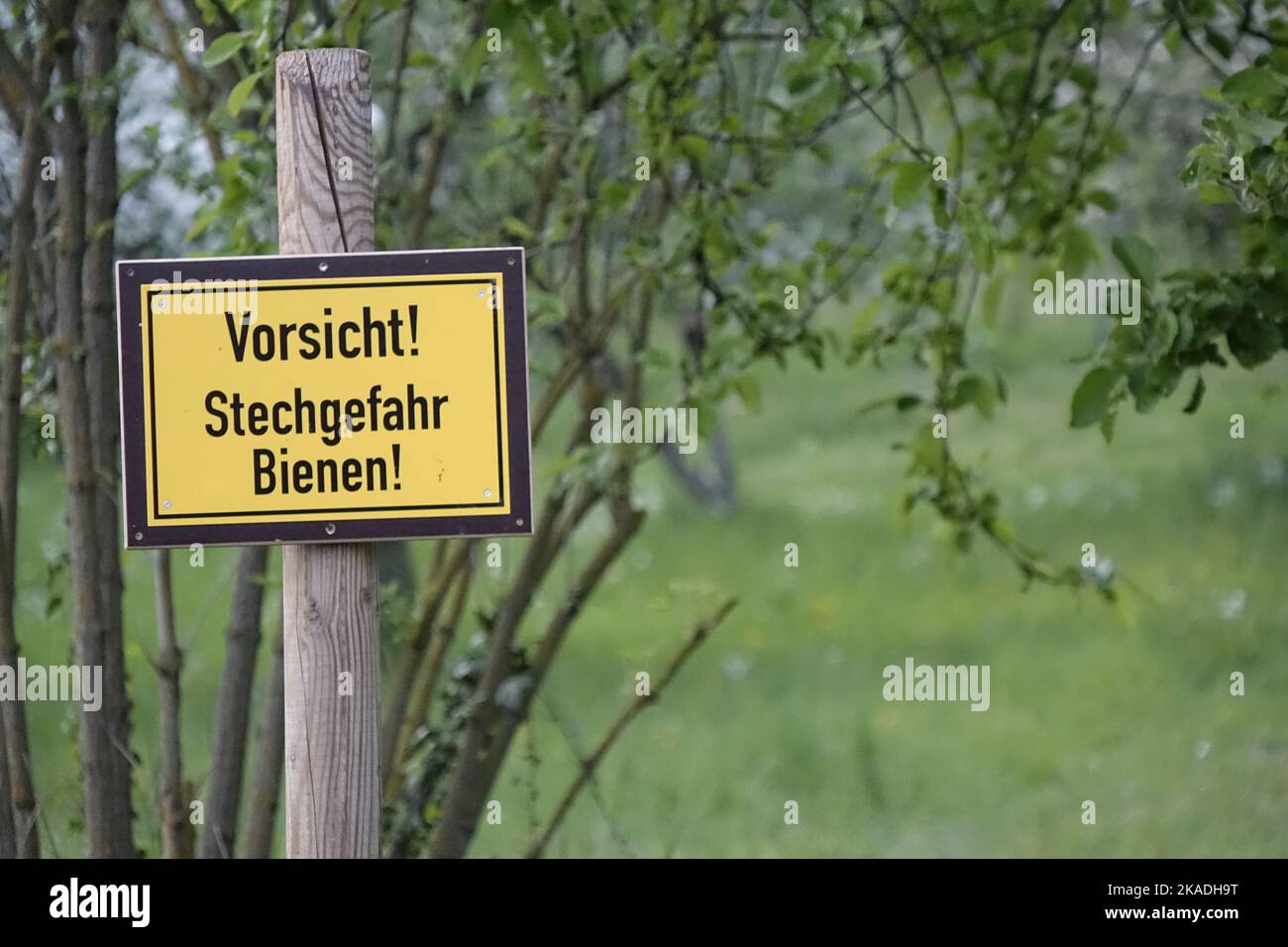 Black and yellow warning sign 'Attention! Danger of stings. Bees!' in ...