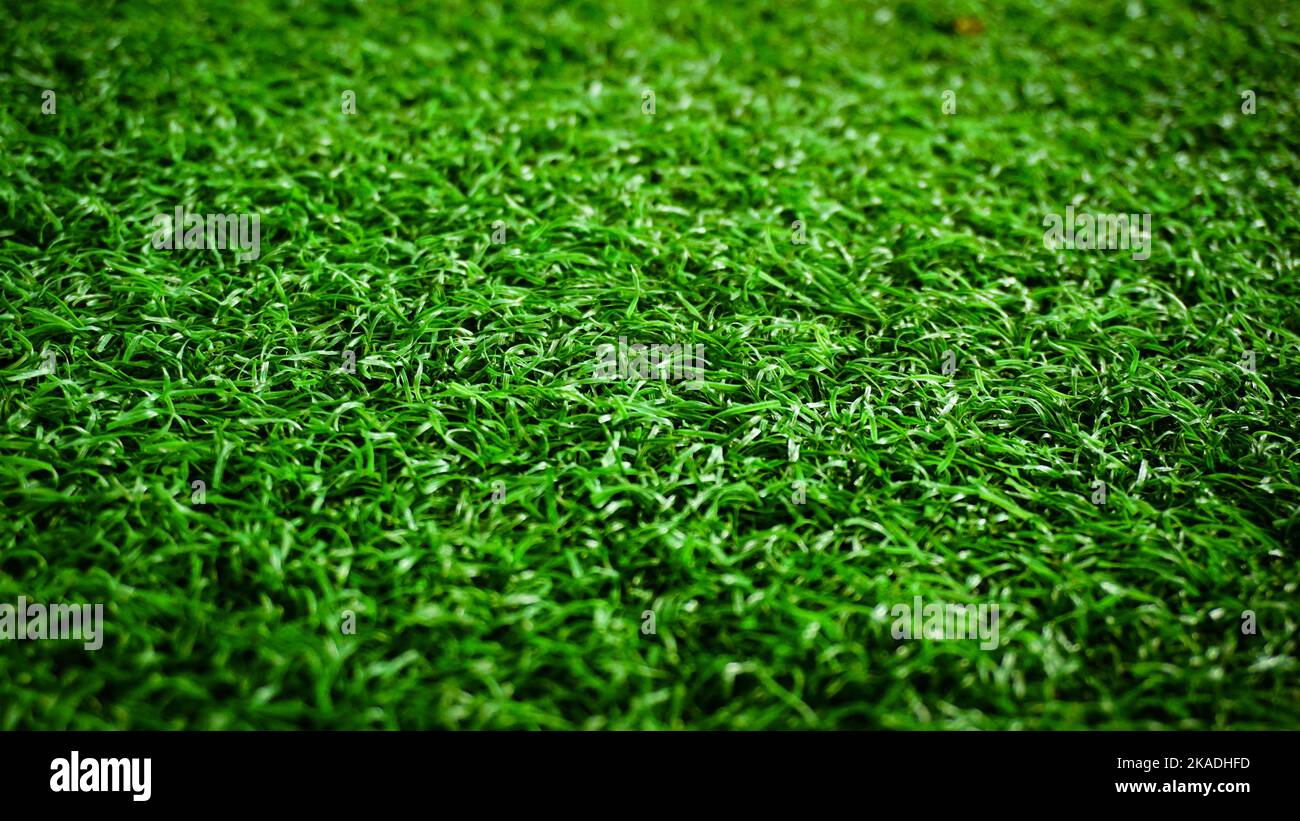 green grass background with blur overlay Stock Photo - Alamy