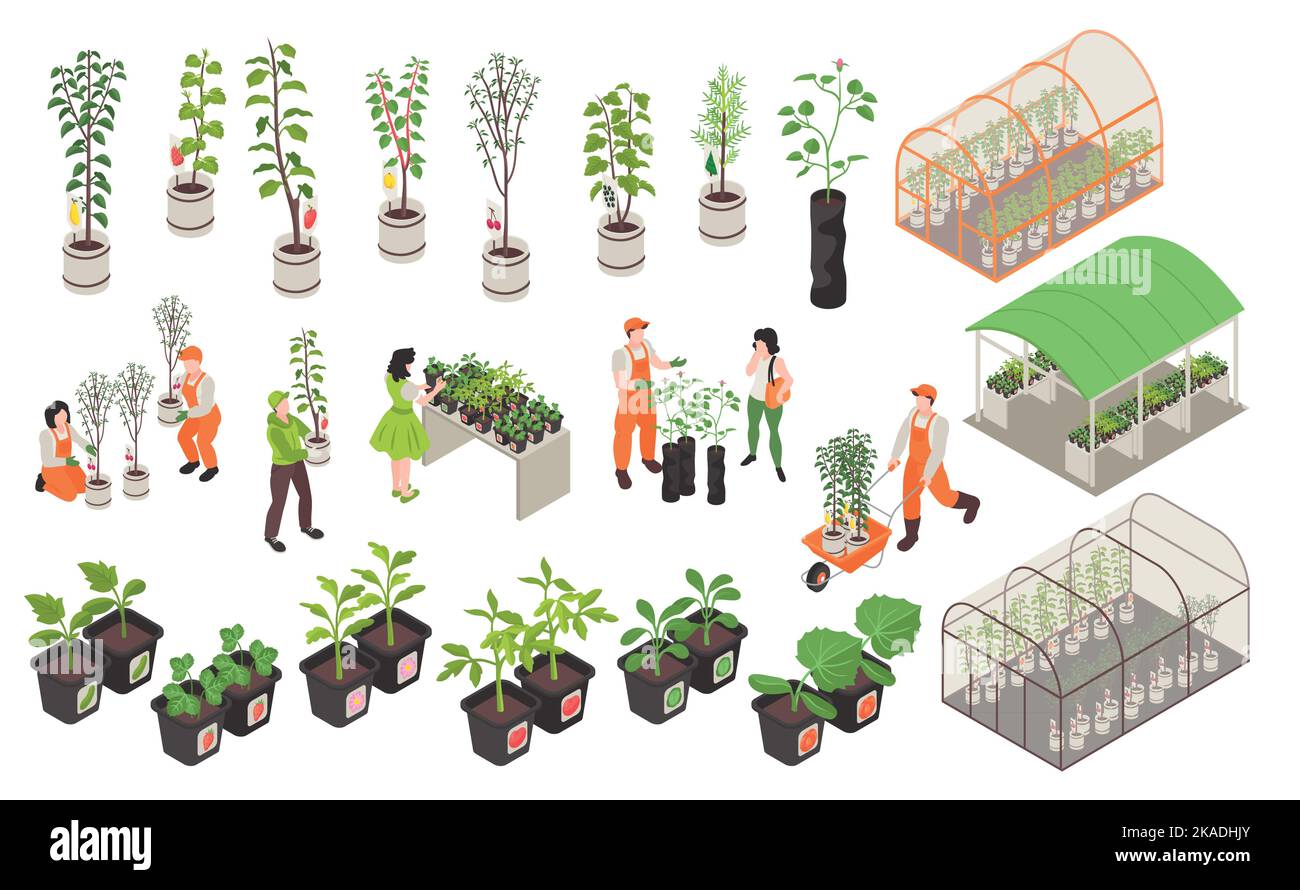 Seed production in plant Stock Vector Images - Alamy