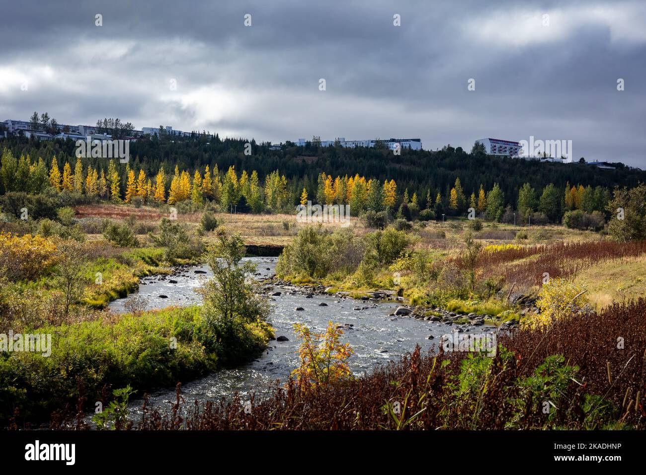 Reykjavik Forest Hi Res Stock Photography And Images Alamy