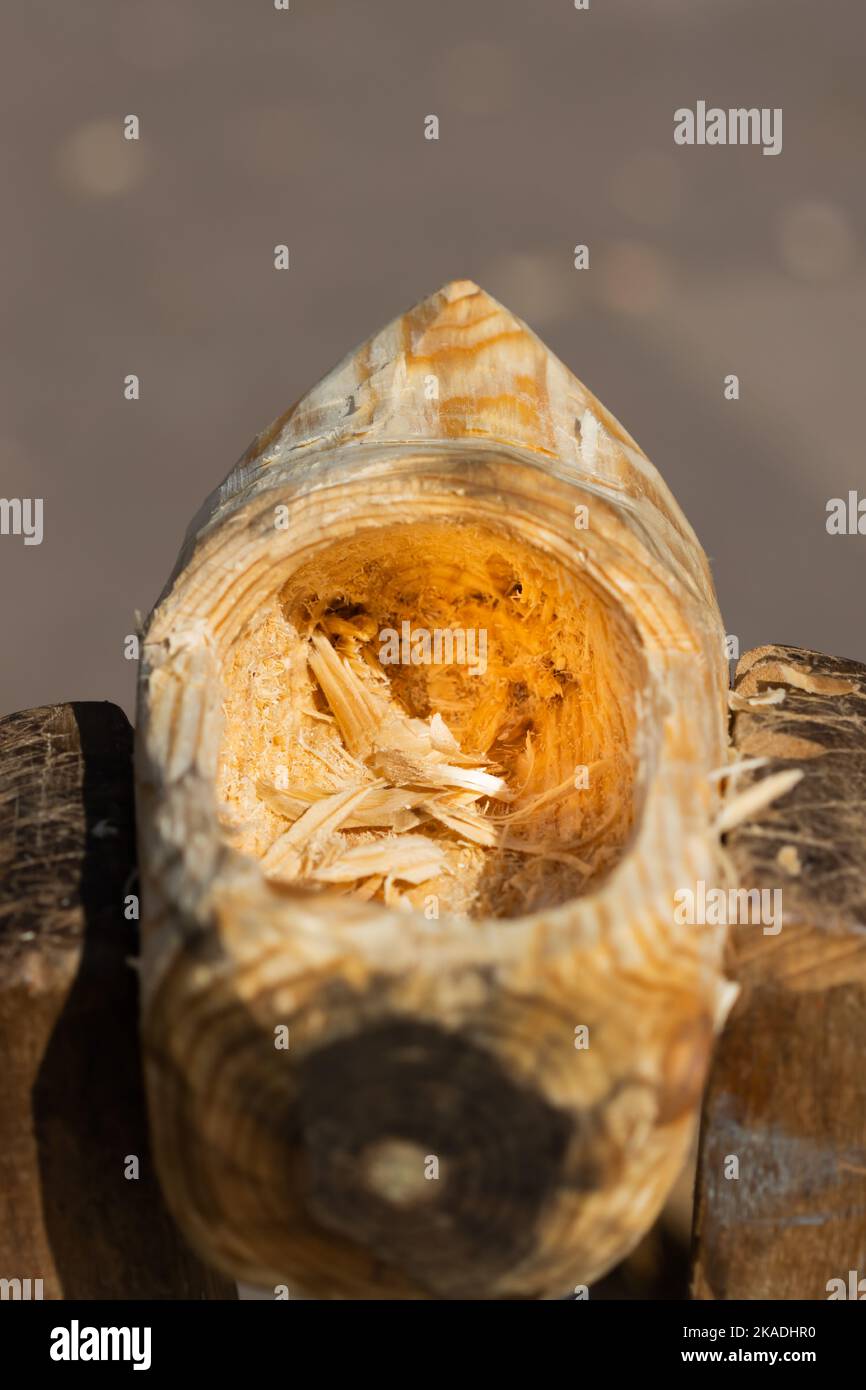Macro detail of Asturian wooden clog carving in the process of ...