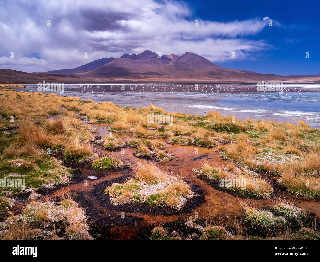 A beautiful view of Laguna Colorada (Red Lagoon) in Bolivia Stock Photo ...