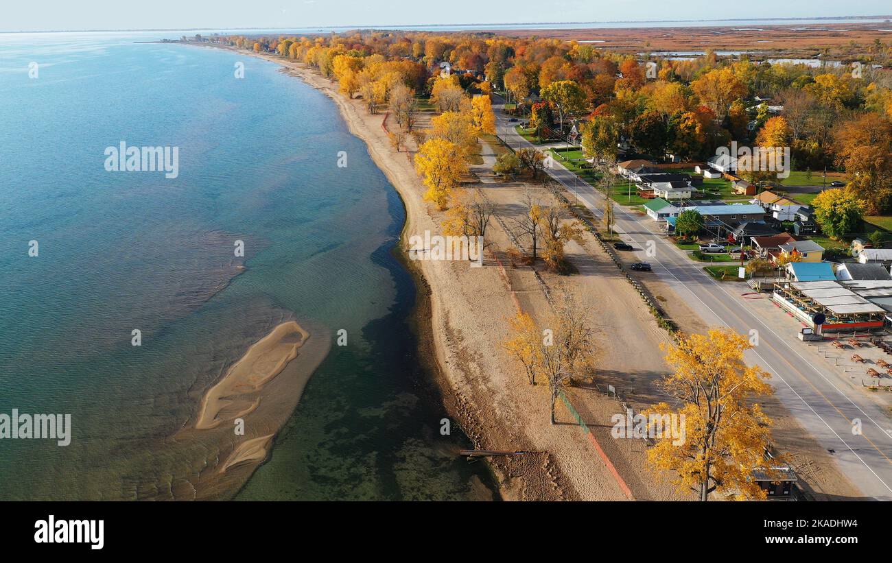 Automn water leaves hi-res stock photography and images - Alamy