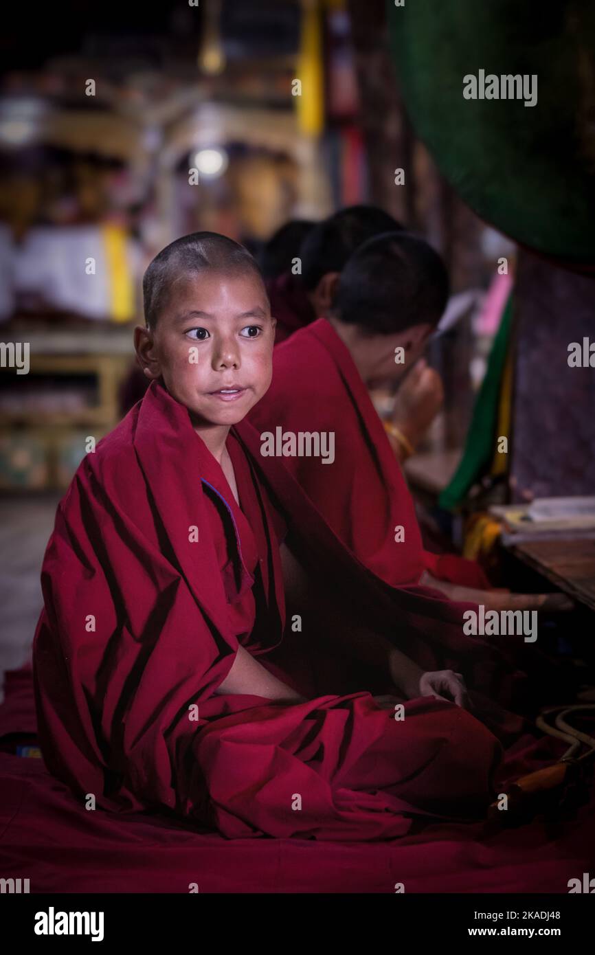A young monk at Thikse Monastery (Thiksay Gompa) during morning puja ...