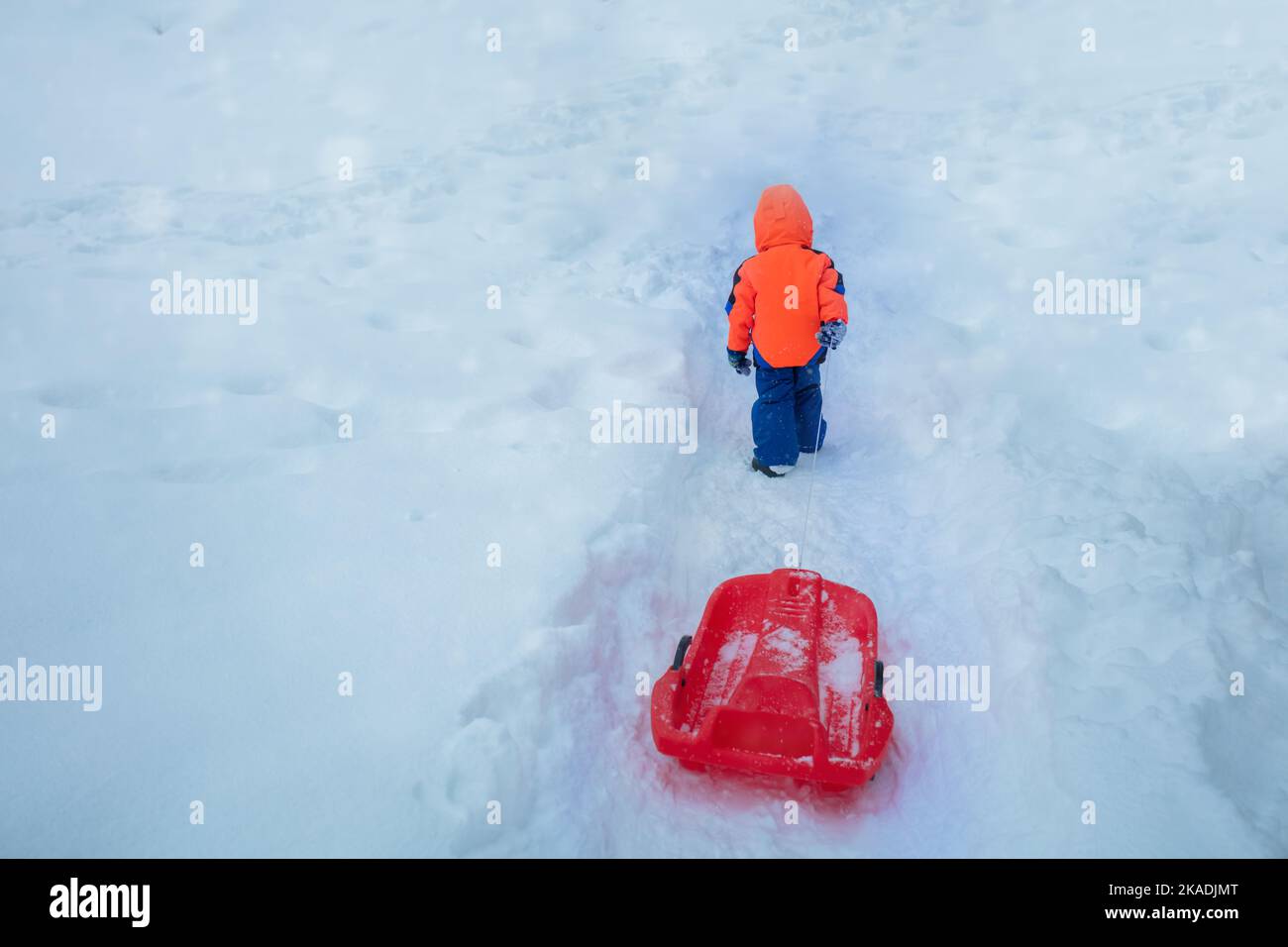 From behind boy pull on uphill with sled, at winter vacations Stock ...