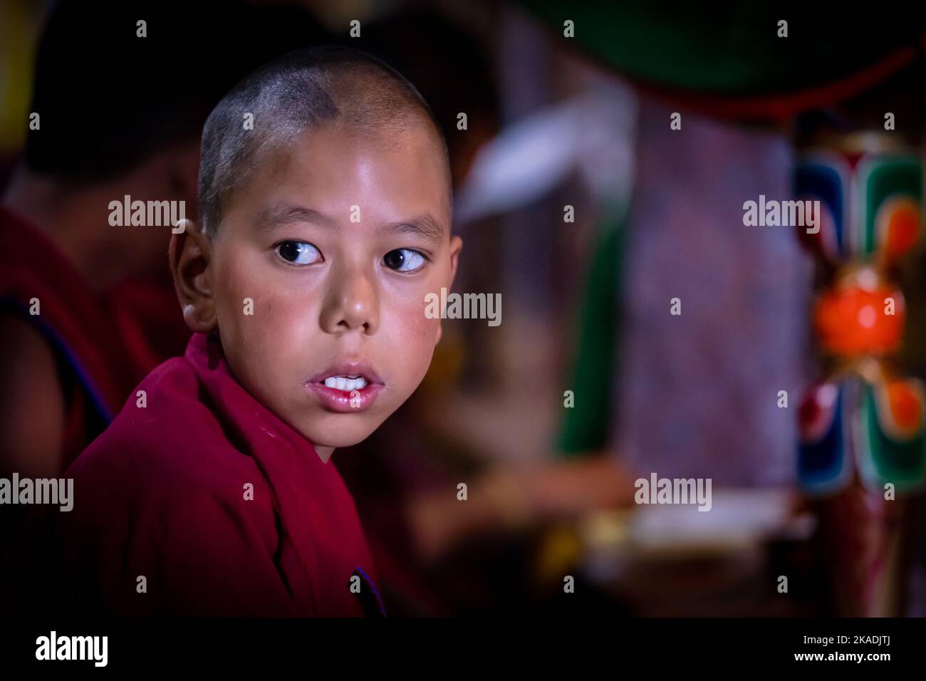 A young monk at Thikse Monastery (Thiksay Gompa) during morning puja ...
