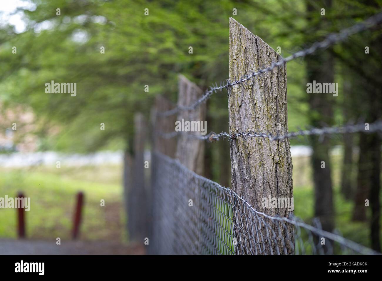 A perspective shot of a country wooden barrier with a metallic net in a ...