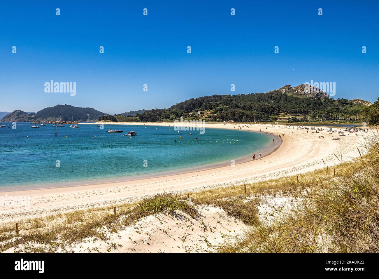 Beach of Rodas in Cies Islands nature reserve, white sand and clear ...