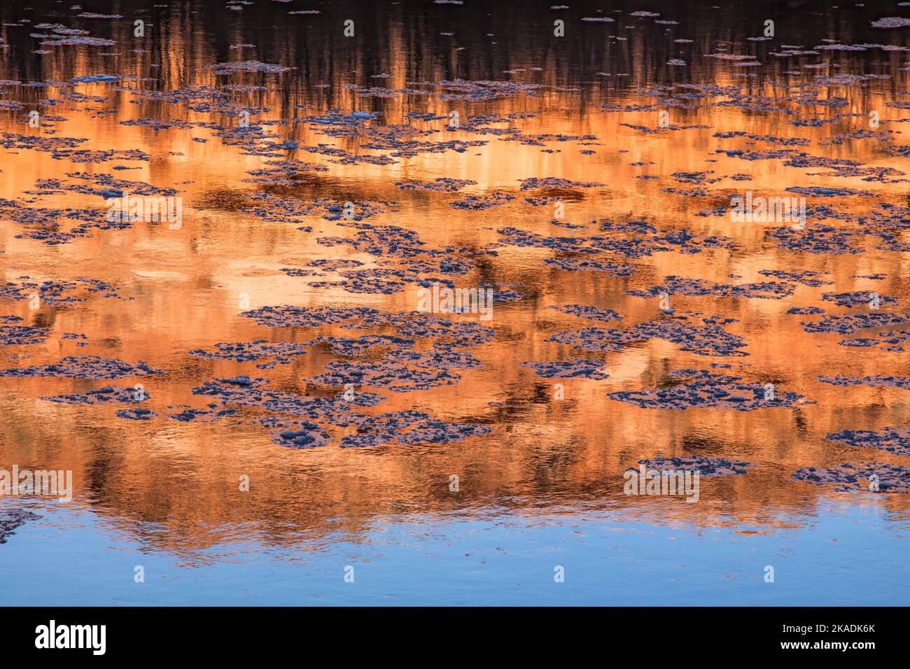Orange sandstone cliffs reflected on the surface of the Colorado River ...