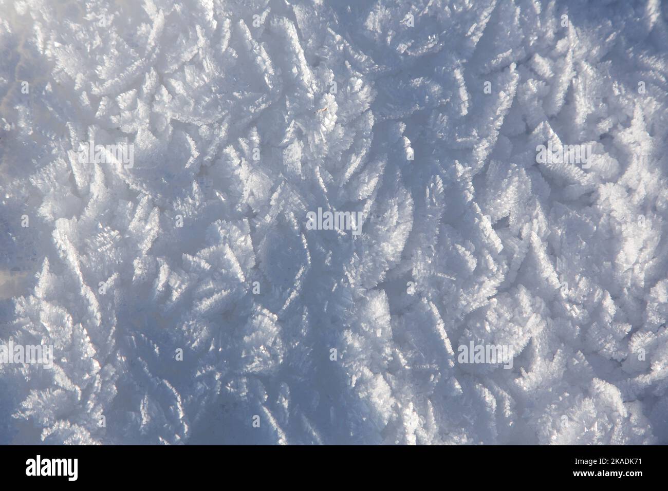 Freezing fog crystals hi-res stock photography and images - Alamy
